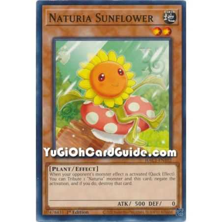 Naturia Sunflower (Common)